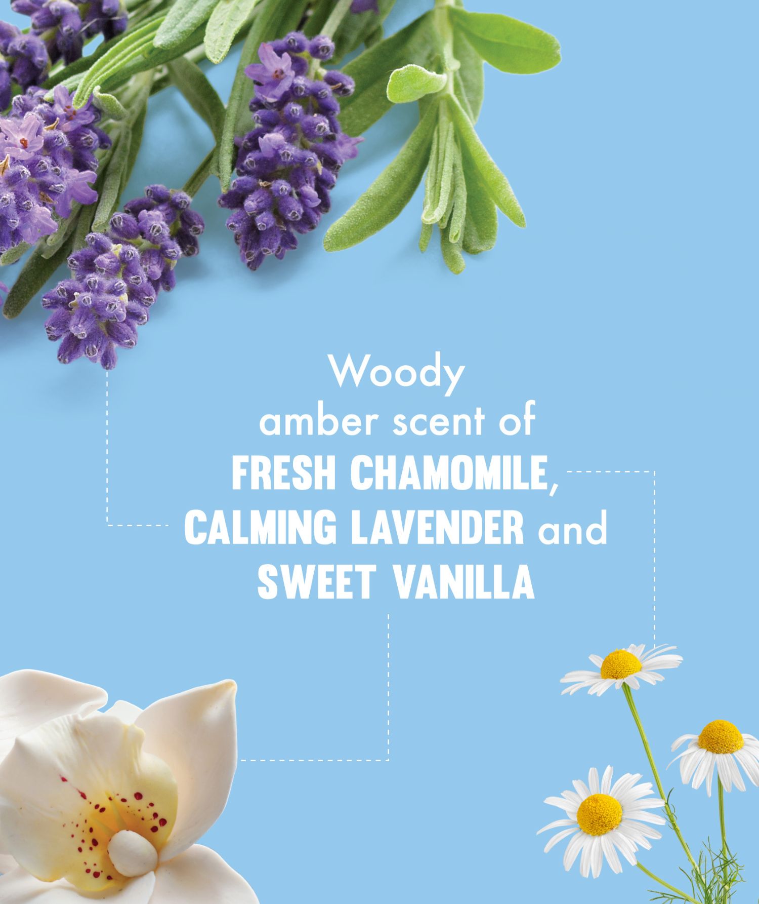 Beautifully Balanced Body Butter